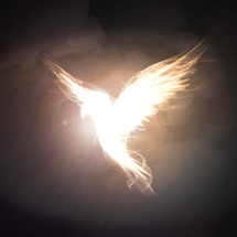 Stock Photo - Fiery doves - holy spirt by Bryan Switalski - Lightstock