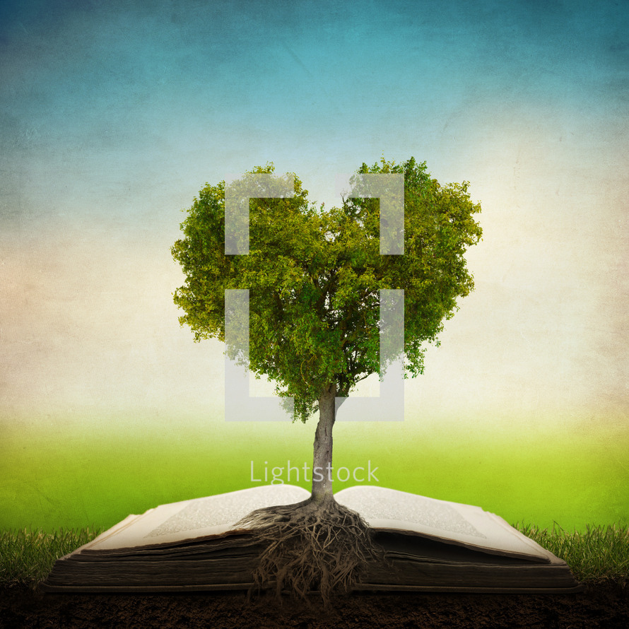 Stock Photo - Heart-shaped tree growing out of an open bible. by ...