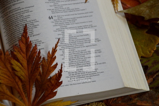 Stock Photo - Bible between colorful autumn leaves. autumn,... by ...